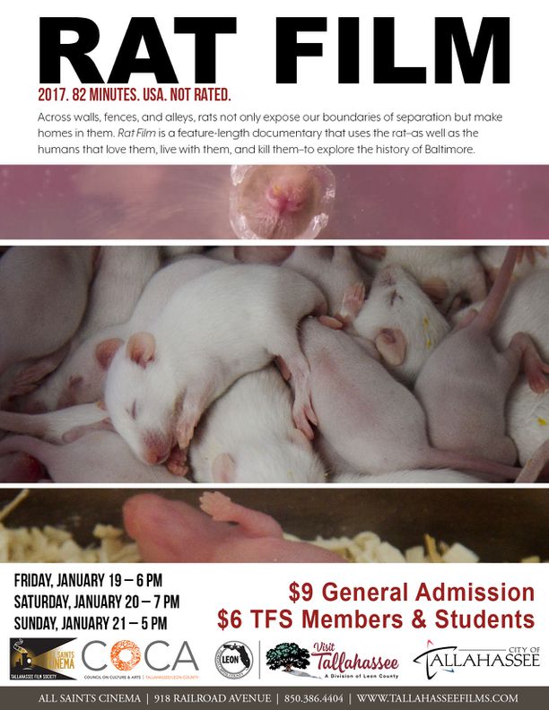 Rat Film | Tallahassee Film Society